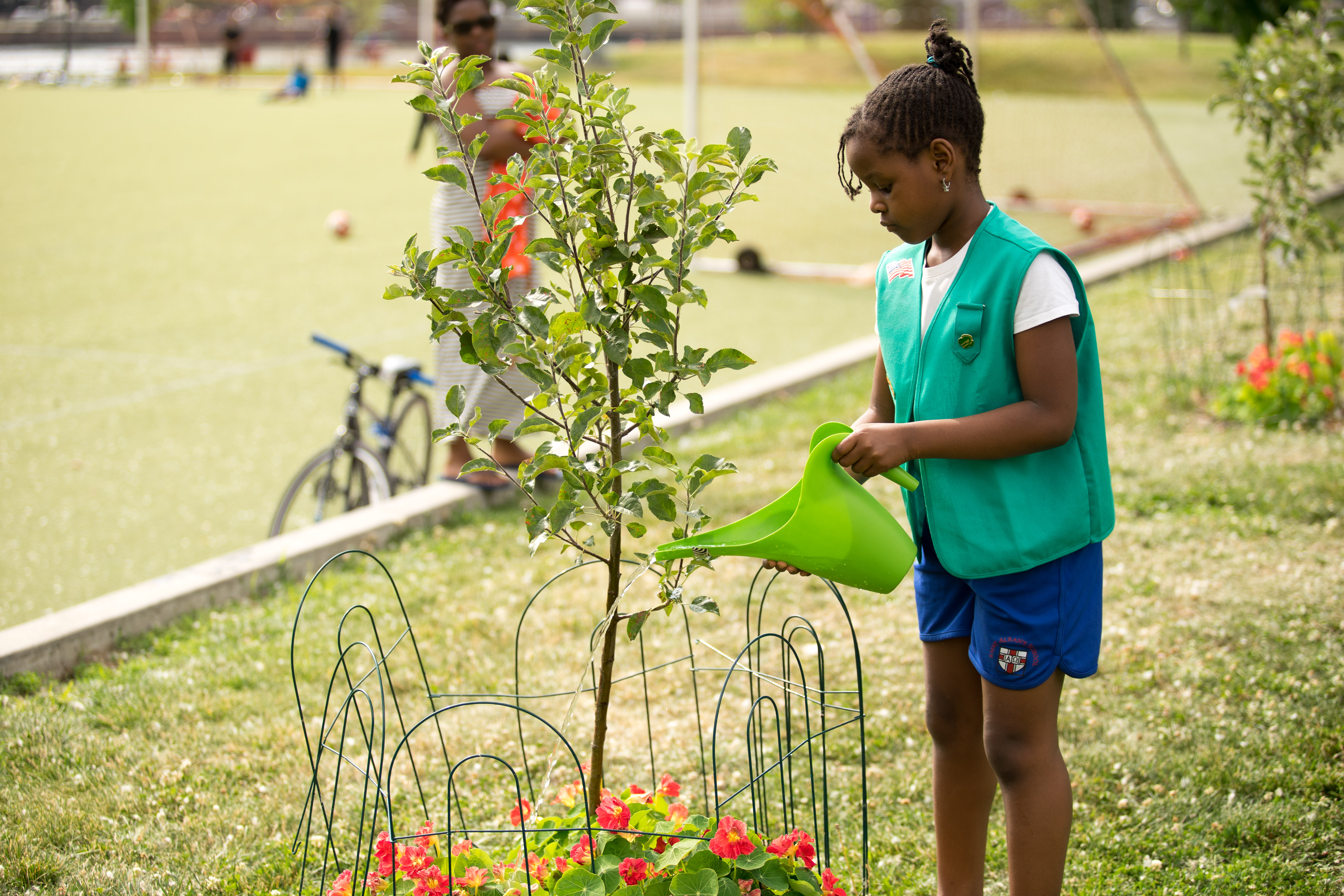 FruiTrees New York – Scout watering Tree | Trees New York