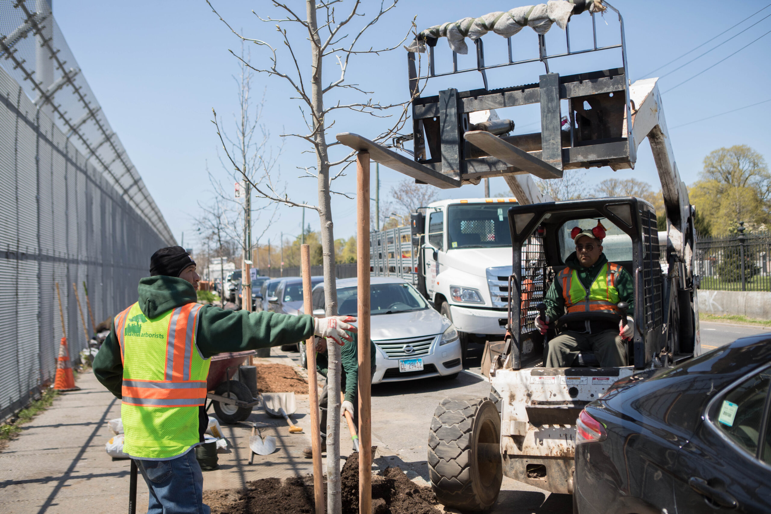 Trees NY Arbor Day 2022-43 | Trees New York