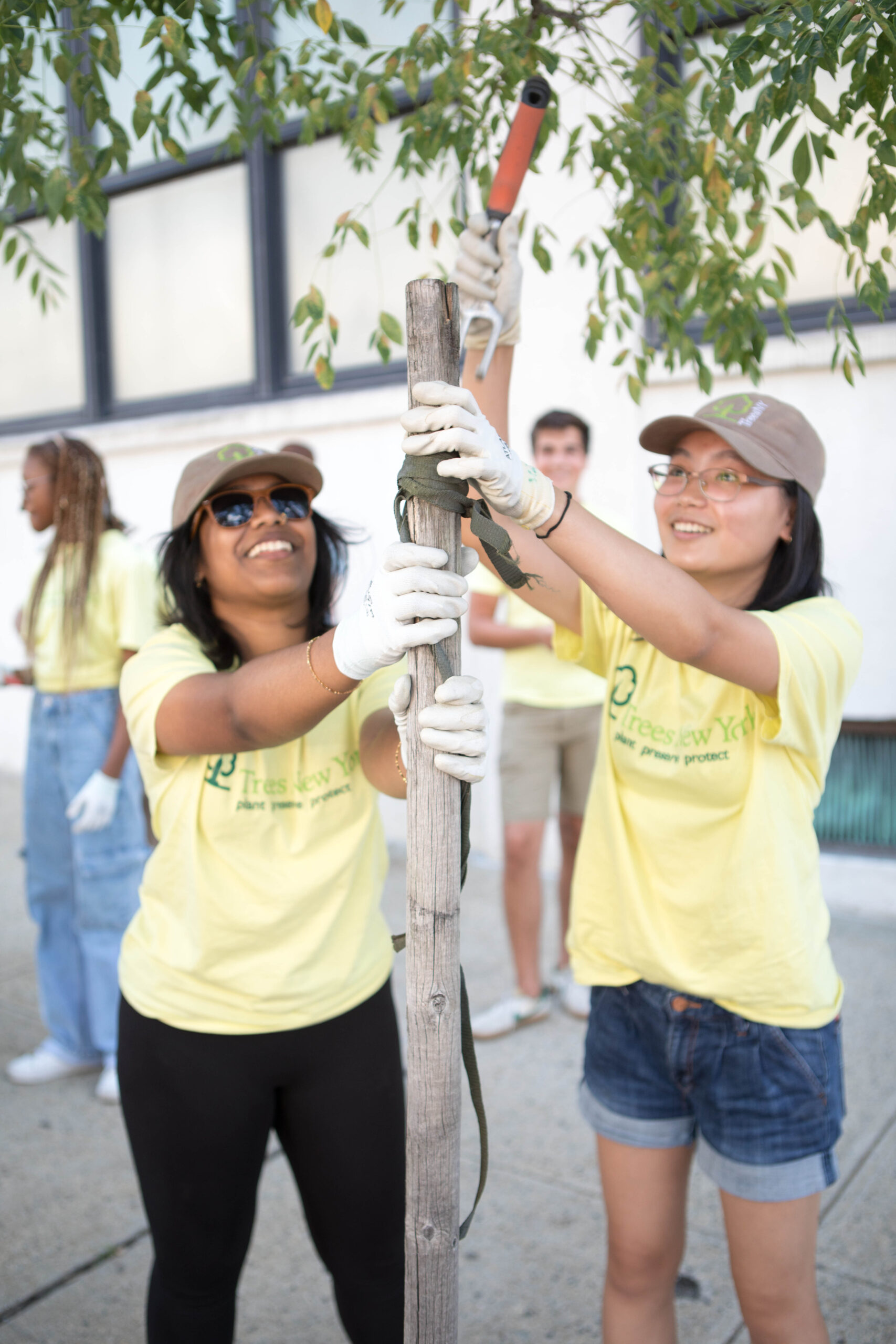 Young Urban Forester Internship Trees New York