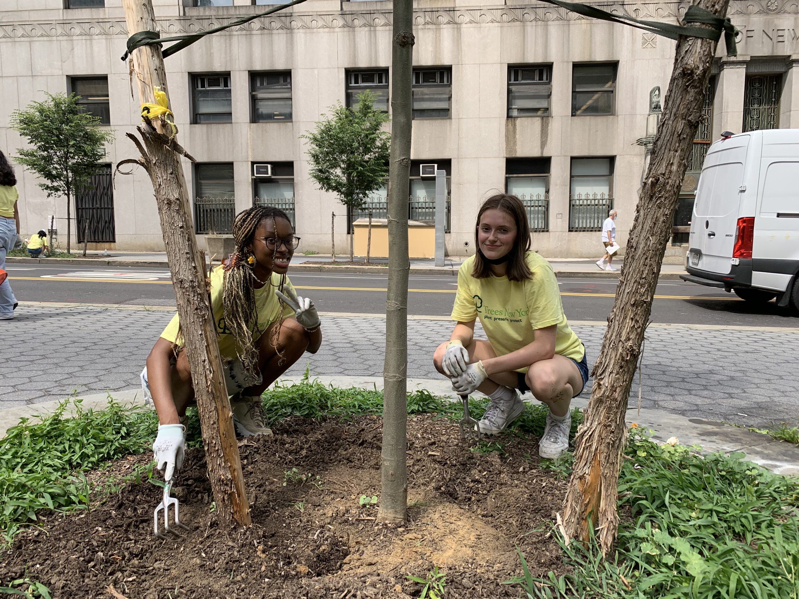 Young Urban Forester Internship Trees New York