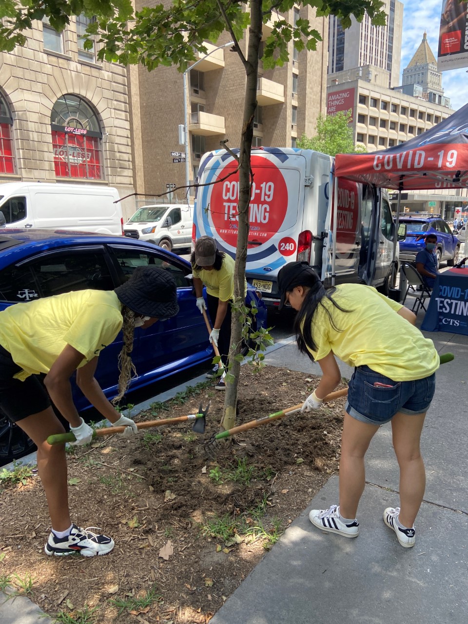 Young Urban Forester Internship Trees New York