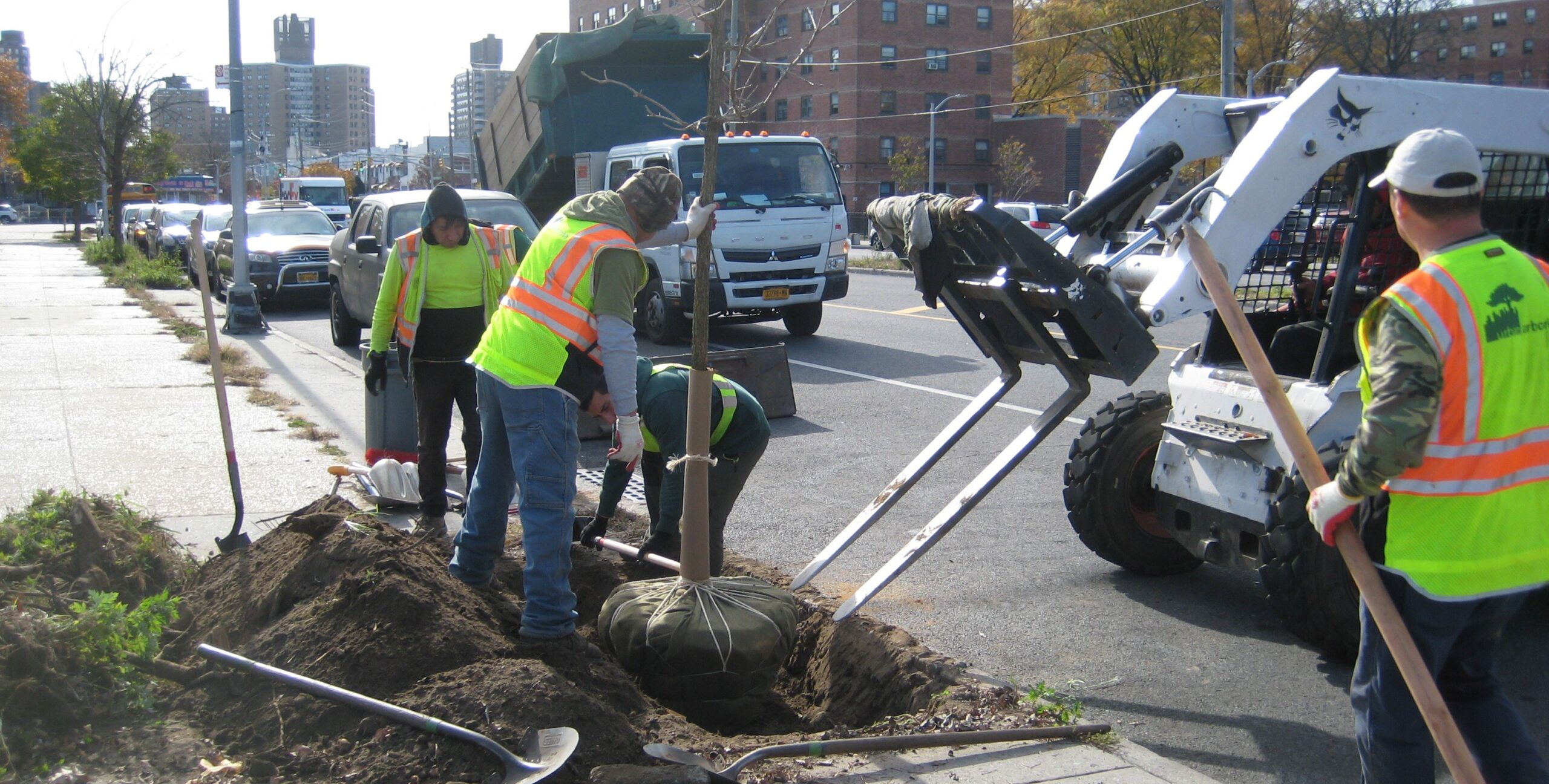 TREES FOR NYCHA #2 | Trees New York
